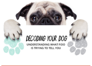 Decoding Your Dog (Infographic) | Joy of Living