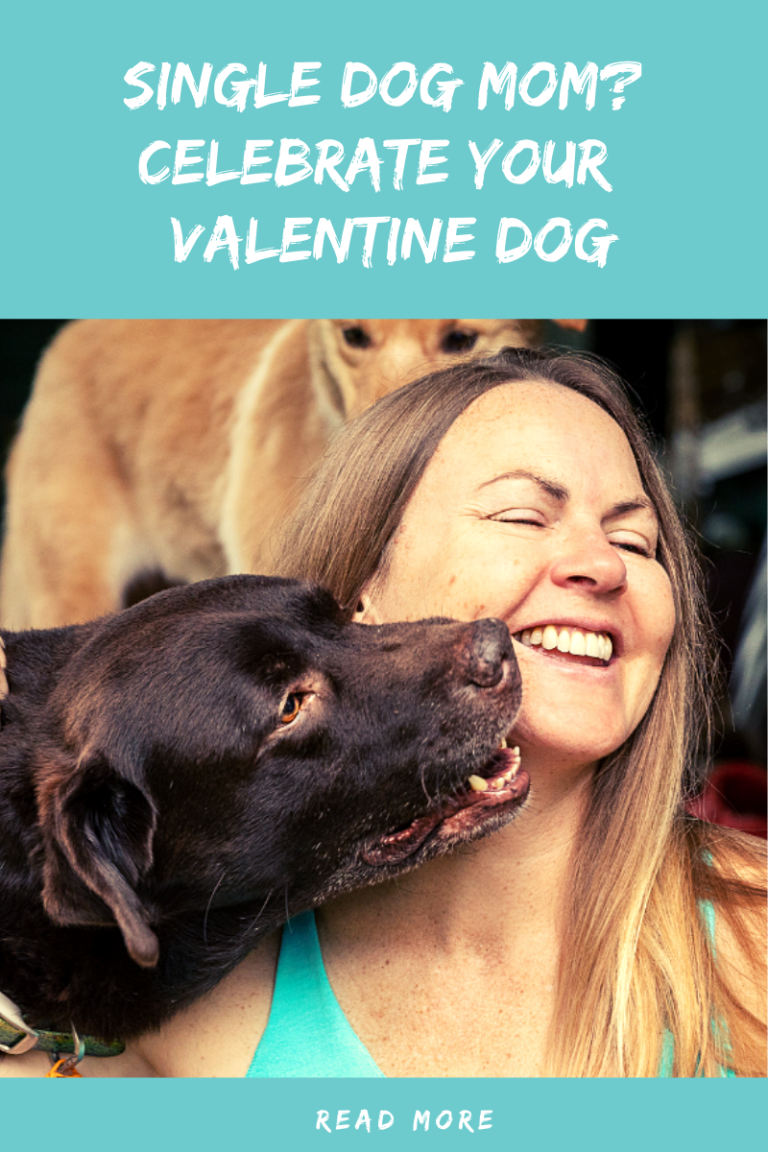 Single Dog Mom? Time to Celebrate Your Valentine Dog! | Joy of Living